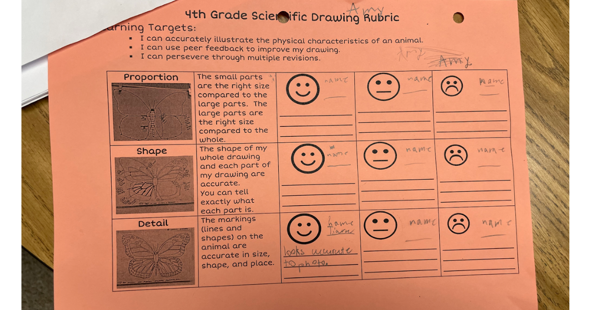 Not All Rubrics Are Created Equal: How Competency-Based Progressions ...