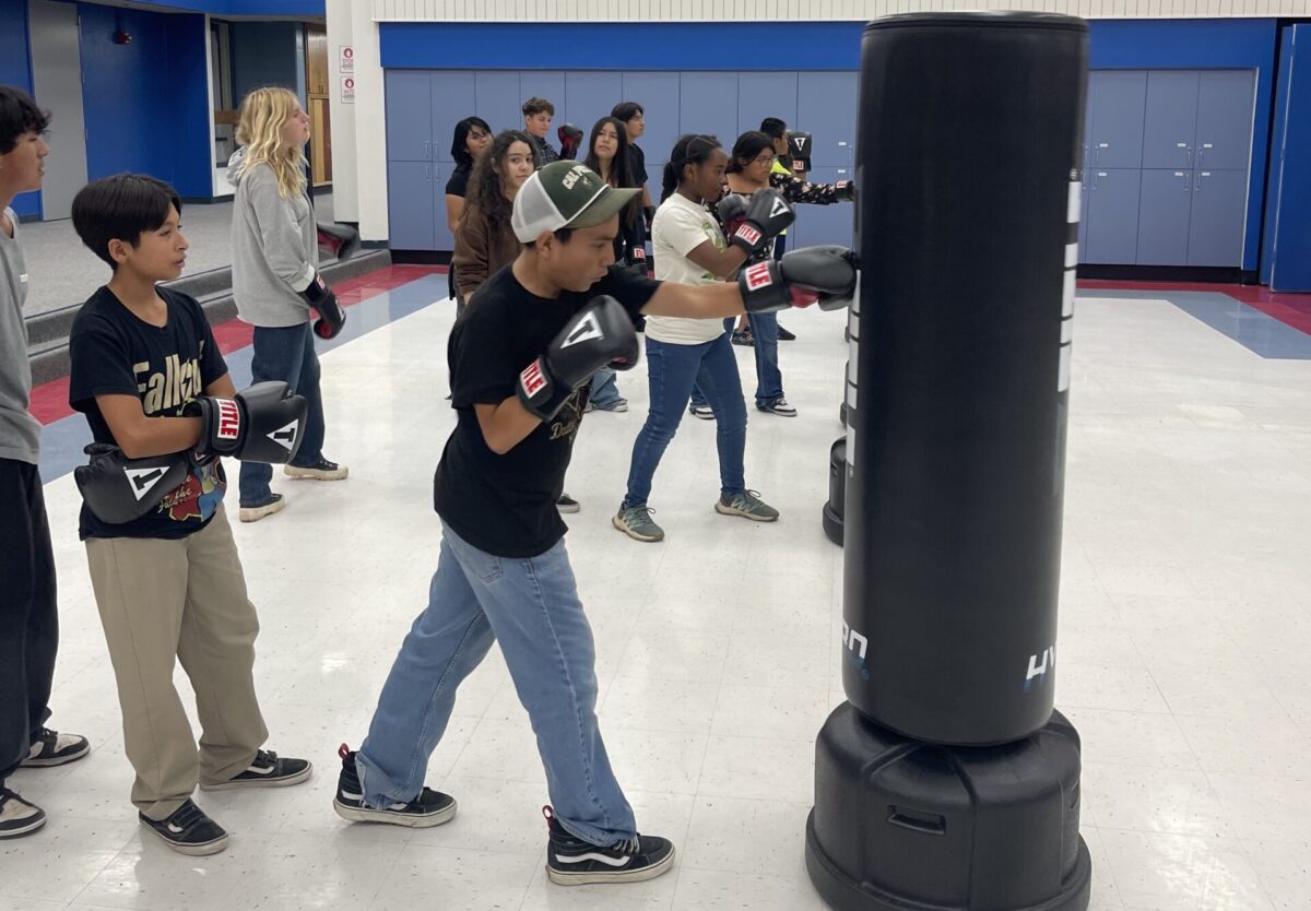 Building School-Community Partnerships